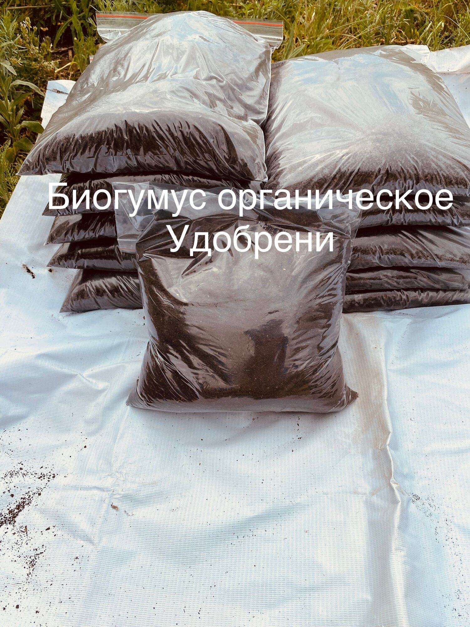 Биогумус — фото 1