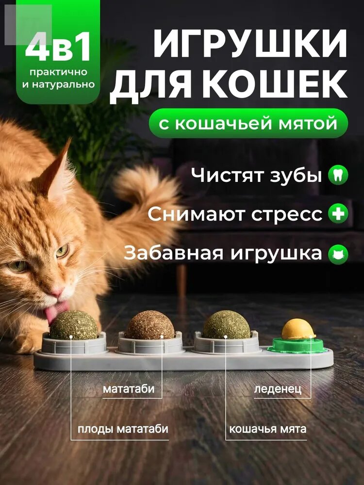 Игрушки для кошек, кошачья мята, леденец для кошек, шарик на стену