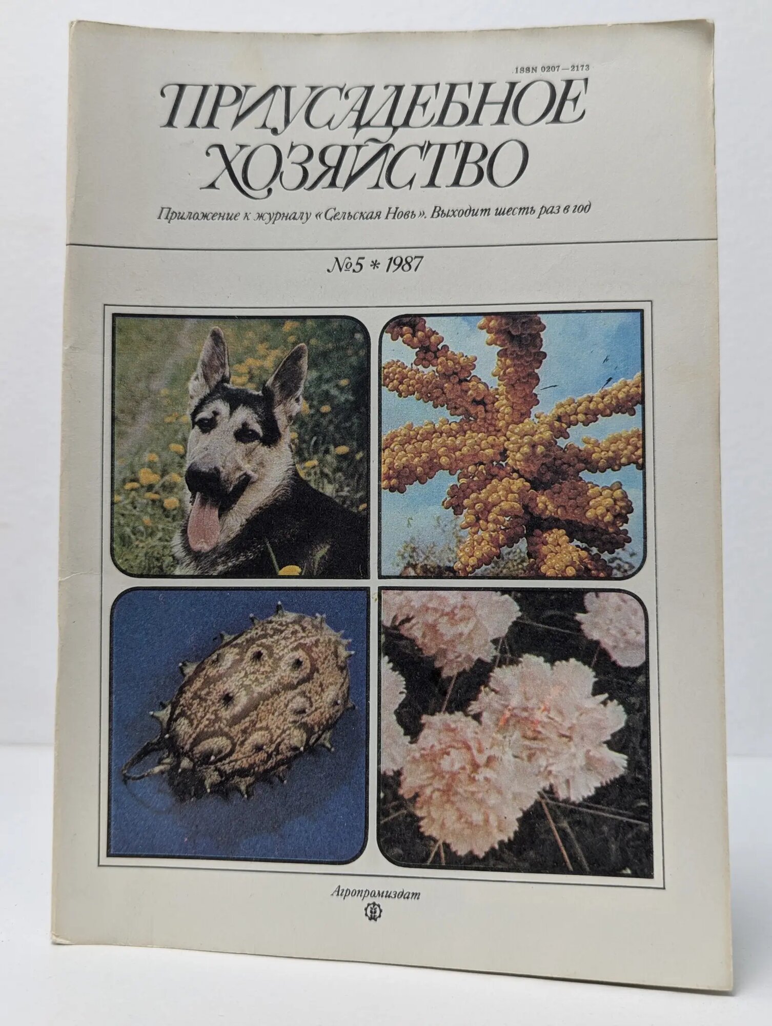 Приусадебное хозяйство. Выпуск № 5/1987 Сборник 1987