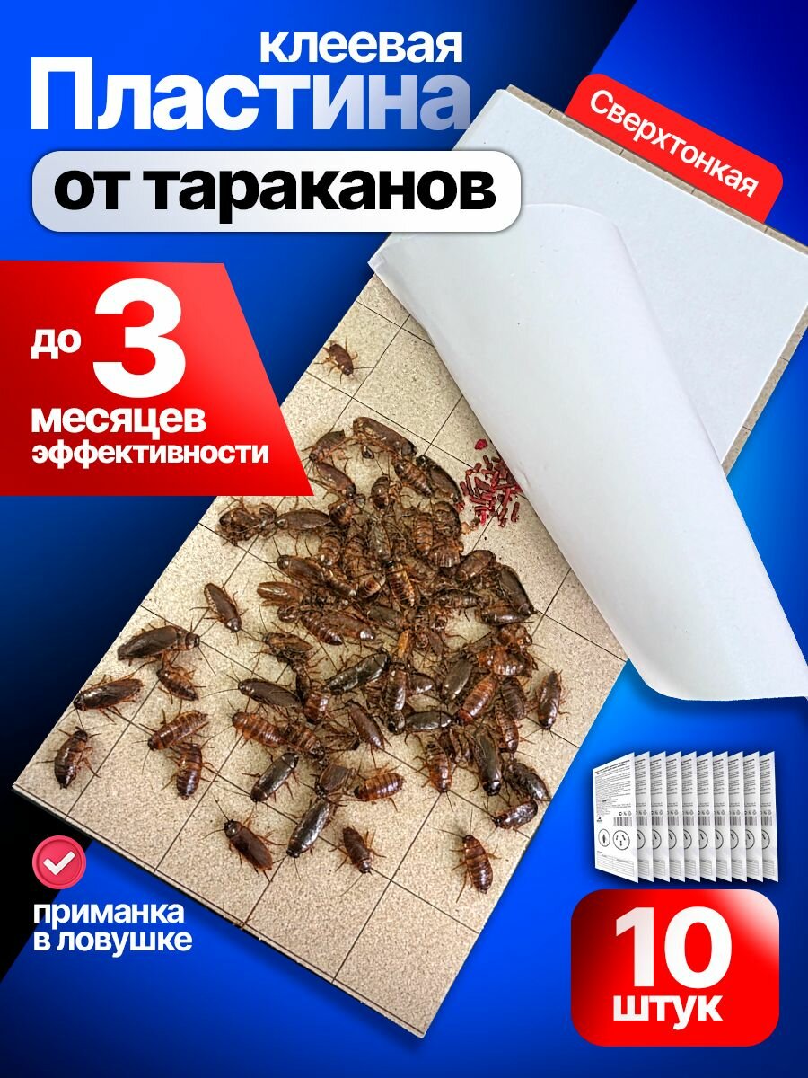 Ловушка для тараканов клеевая, средство от тараканов для труднодоступных мест Аргус 10шт пластин клеевая ловушка для тараканов средство от тараканов пластины для ловушек