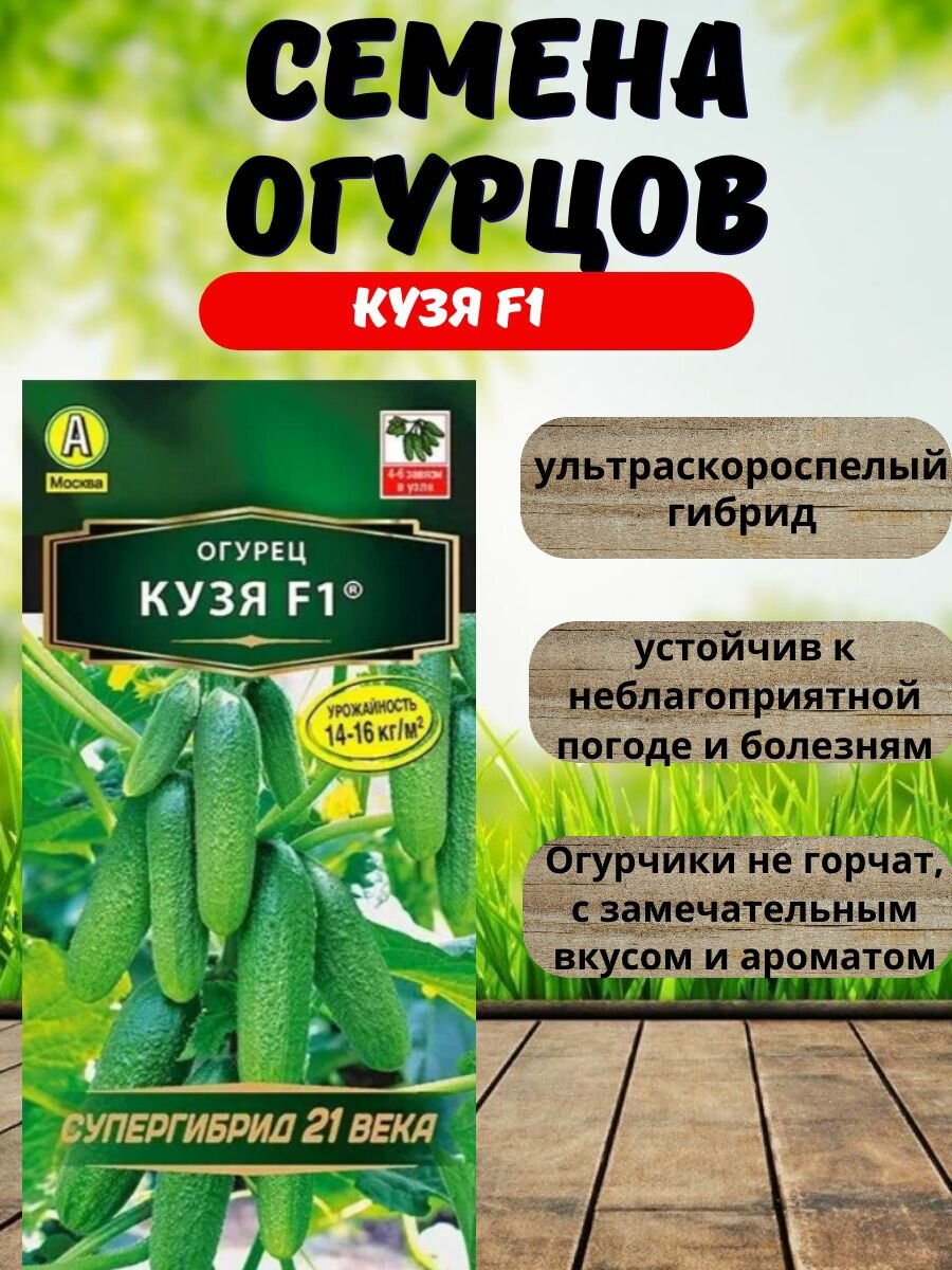 Семена огурцов - Кузя сорт Кузя огурцы