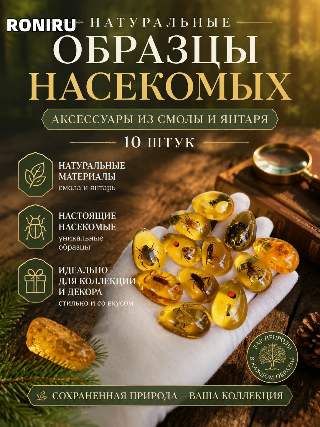 Настоящие образцы насекомых, аксессуары из смолы и янтаря 10 штук для коллекции и декора