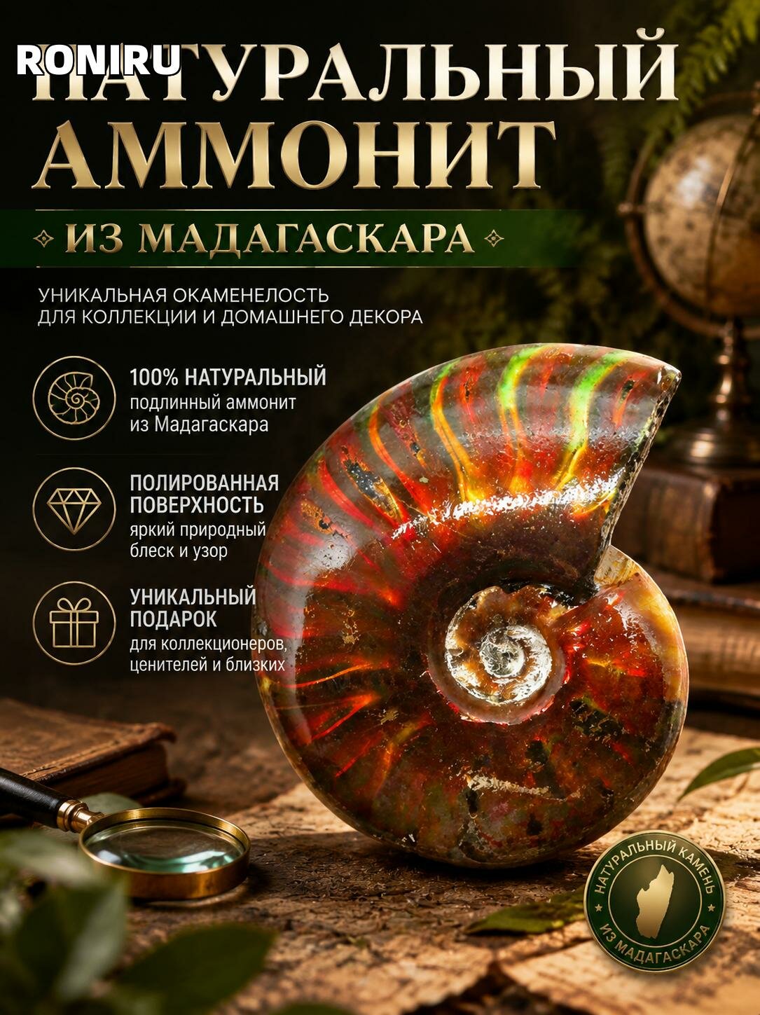 Натуральный полированный аммонит из Мадагаскара, окаменелость для коллекции и домашнего декора, учебный образец и уникальный подарочный сувенир