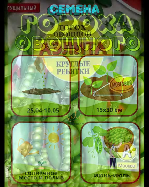 Семена гороха миланфурд "Круглые ребята", однолетние, для открытого грунта, 25г — фото 1