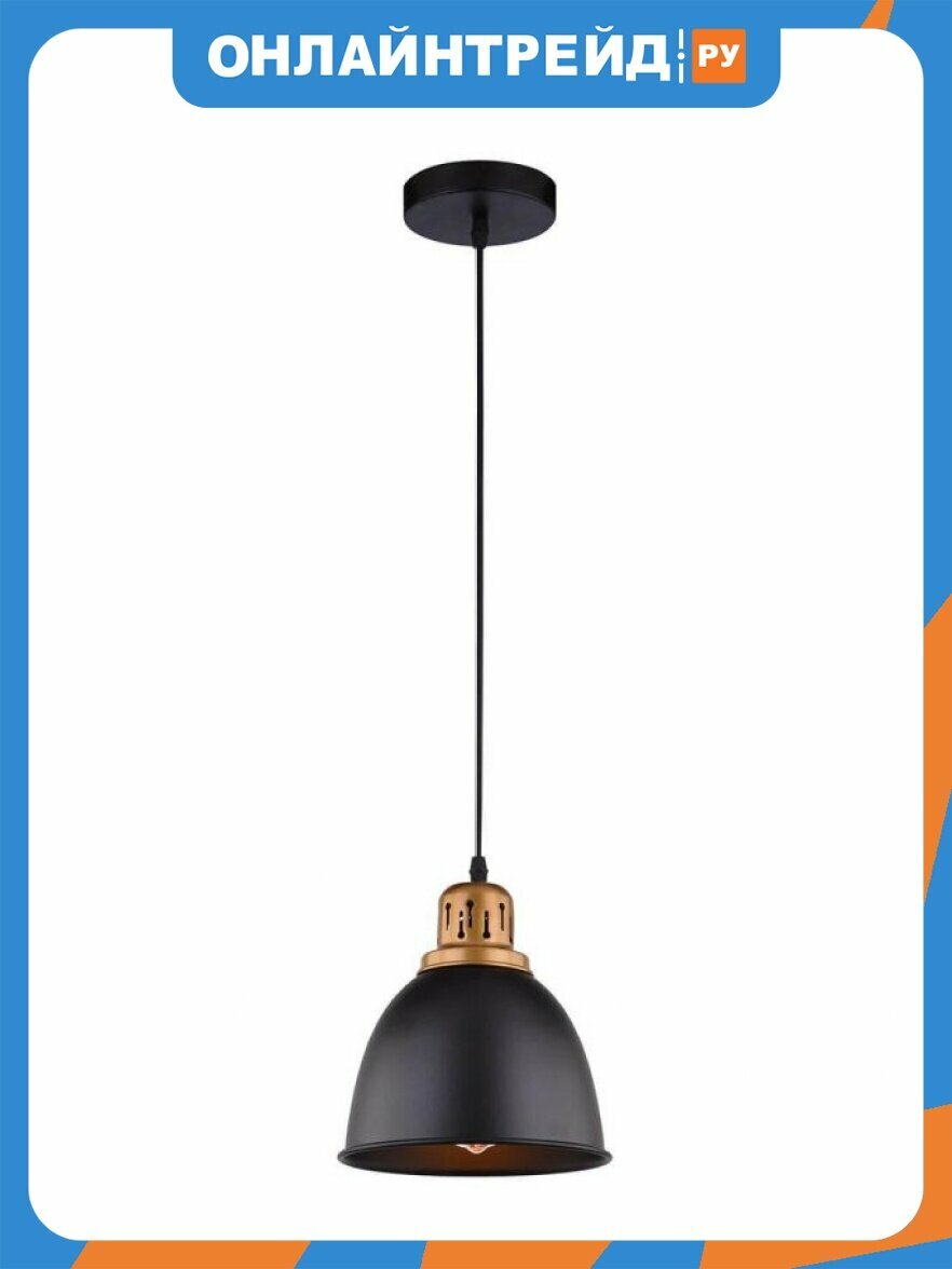 Подвесной светильник Arte Lamp Eurica A4245SP-1BK_