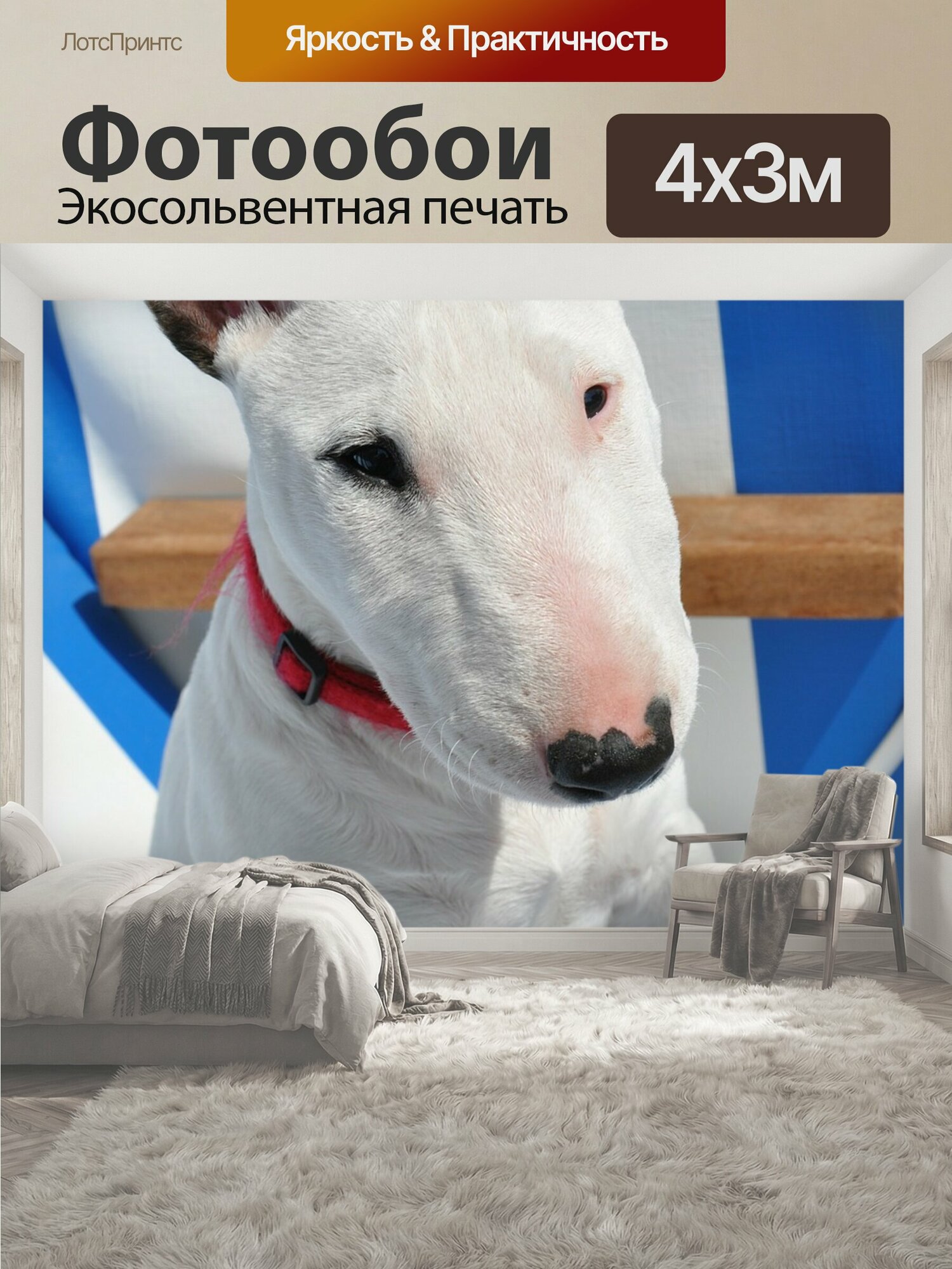 Фотообои "Бультерьер, собака, животное" 400x300 см. экосольвентная печать