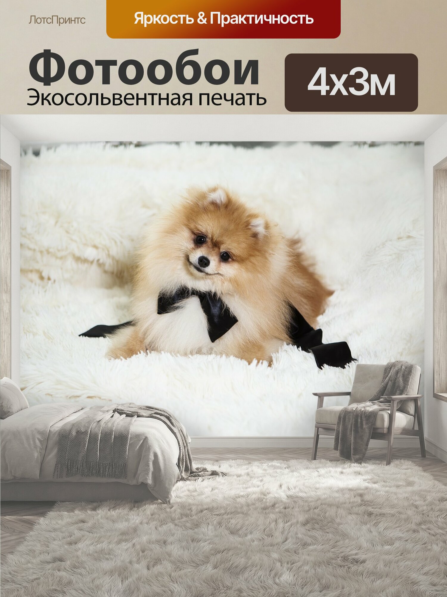 Фотообои "Шпиц, собака, брюлик" 400x300 см. экосольвентная печать