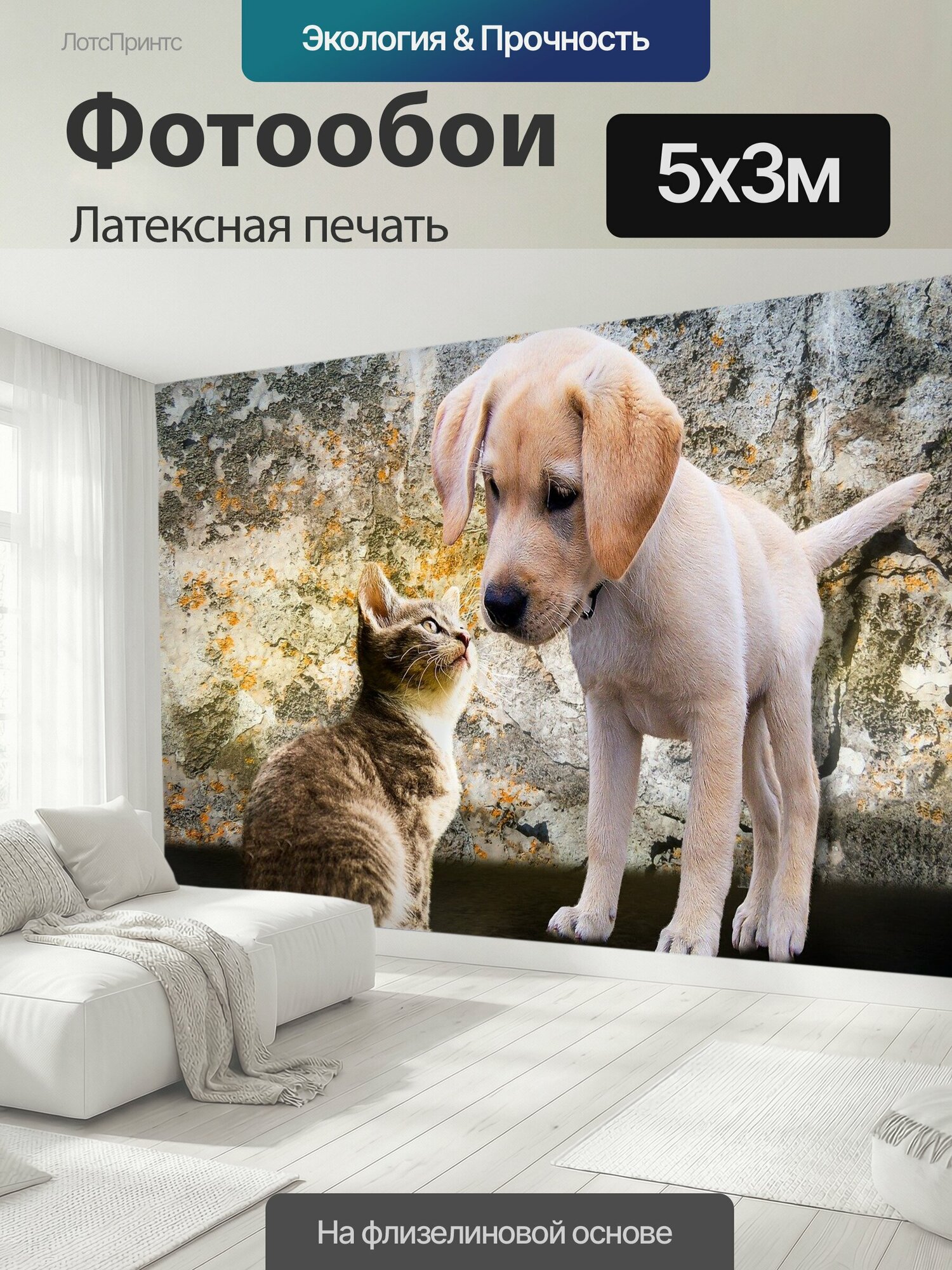 Фотообои моющиеся ударопрочные "Животные, собака, кот" 500x300 см. латексная печать