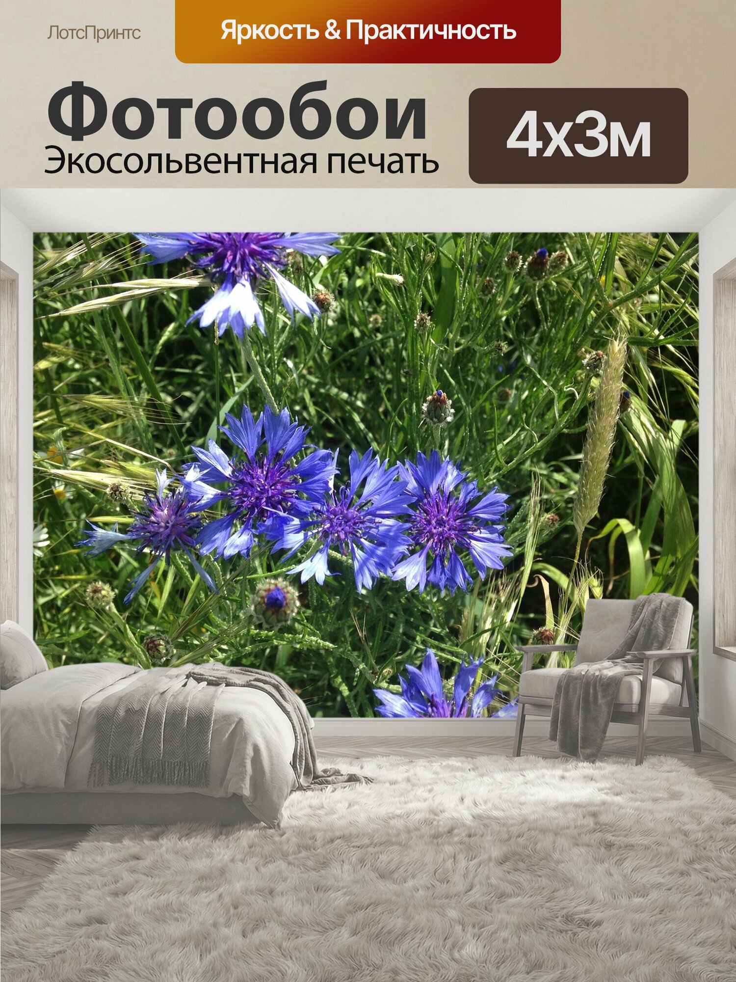 Фотообои "Васильки, луг, природа" 400x300 см. экосольвентная печать