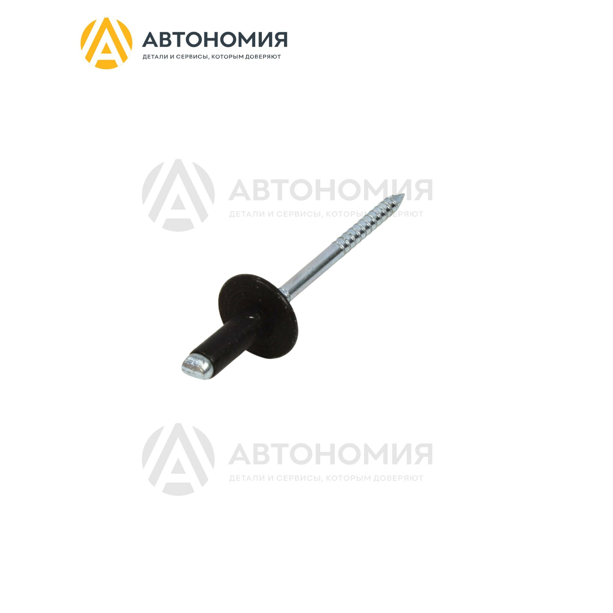 Заклёпка скрытая VAG N90 465 201