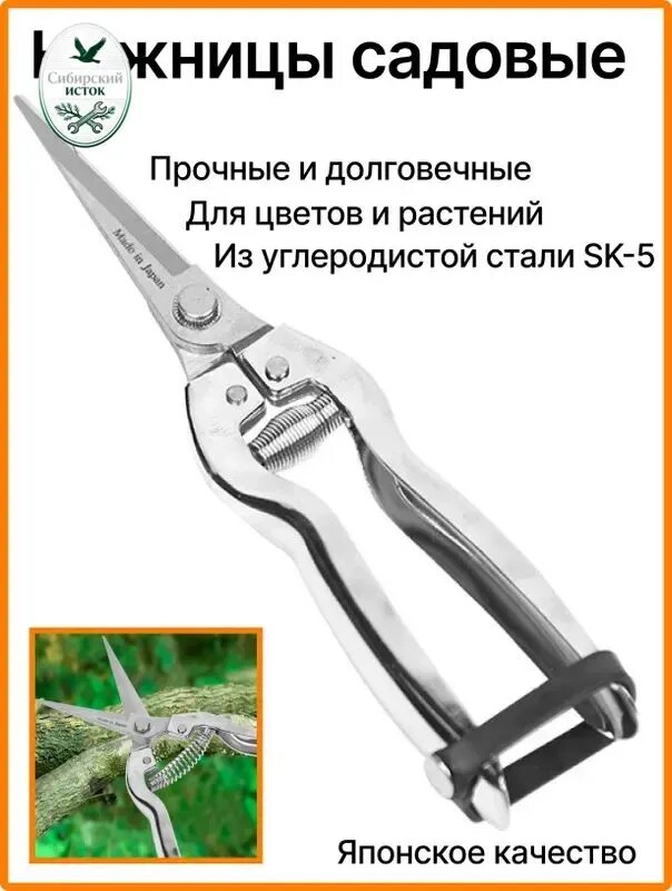 Сучкорез