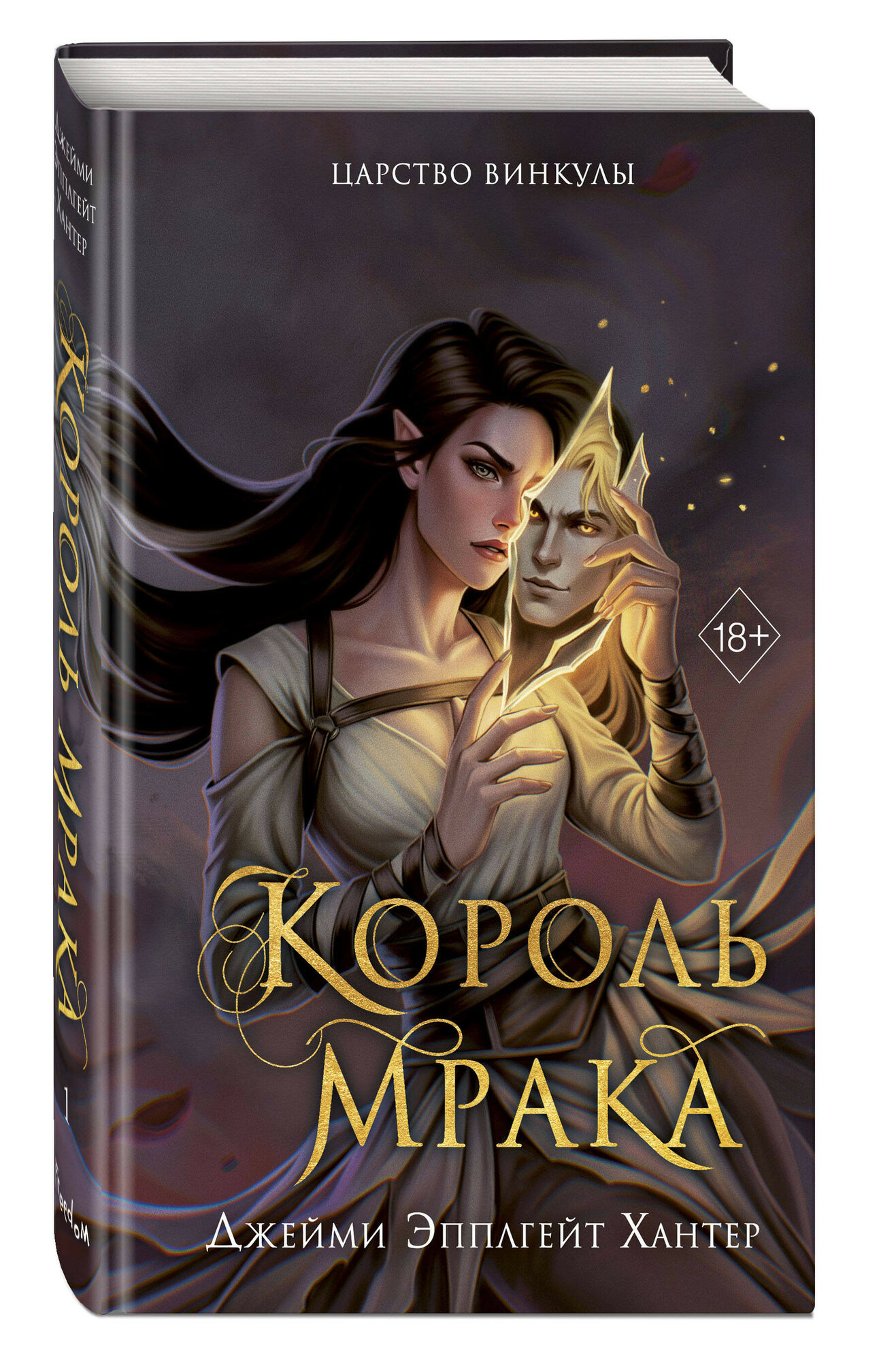 Царство Винкулы: Король Мрака. Книга 1