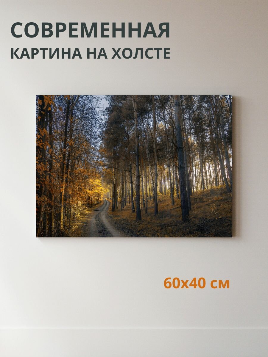 Картина на холсте Природный пейзаж 60x40 см