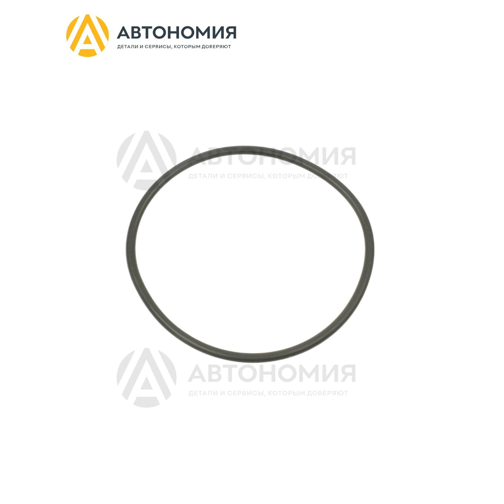 Кольцо уплотнительное BMW 17 21 1 712 965