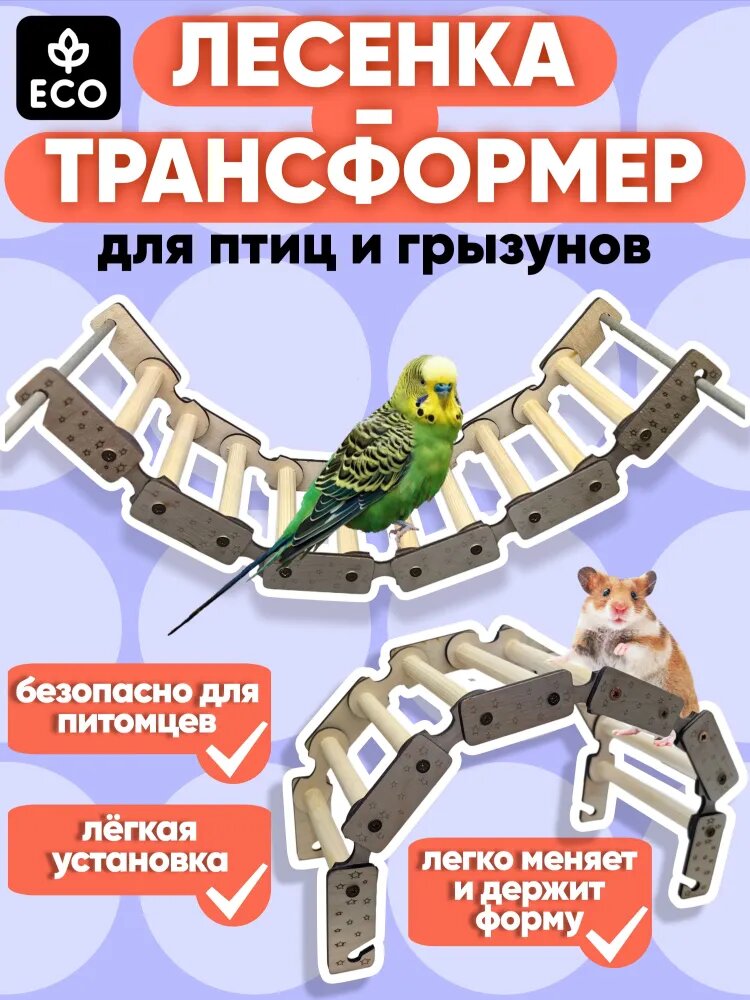 Лесенка в клетку для птиц и грызунов / игрушки для грызунов / игрушка для попугая / аксессуар для клетки / гибкая лестница - трансформер для животных