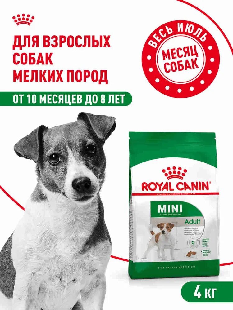 Сухой корм для собак Royal Canin Mini Adult для мелких пород, 4 кг