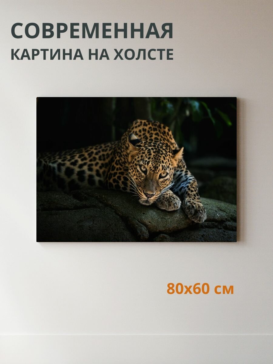Картина на холсте Леопард 80x60 см