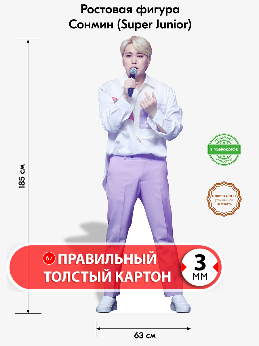 Аксессуар для фотосессий, Сонмин (Super Junior) 1, ростовая фигура