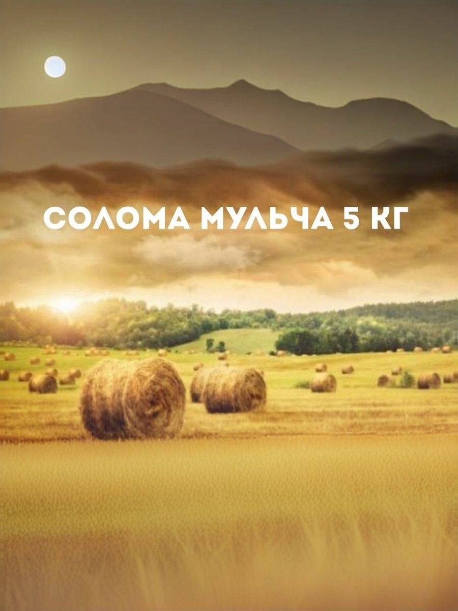Солома мульча в упаковке 5кг
