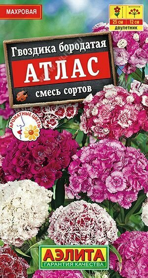 Семена Гвоздика Атлас турецкая махровая, смесь сортов, Агрофирма Аэлита турецкая махровая смесь семена цветов