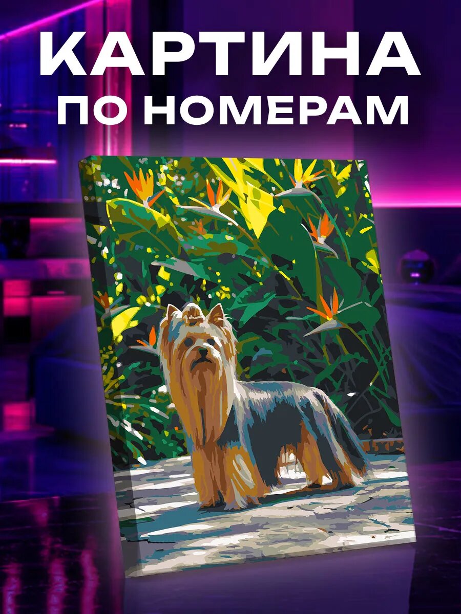 Картина по номерам Йоркширский терьер среди стрелиции