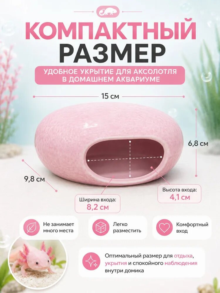 Аквариум для аксолотля — фото 1