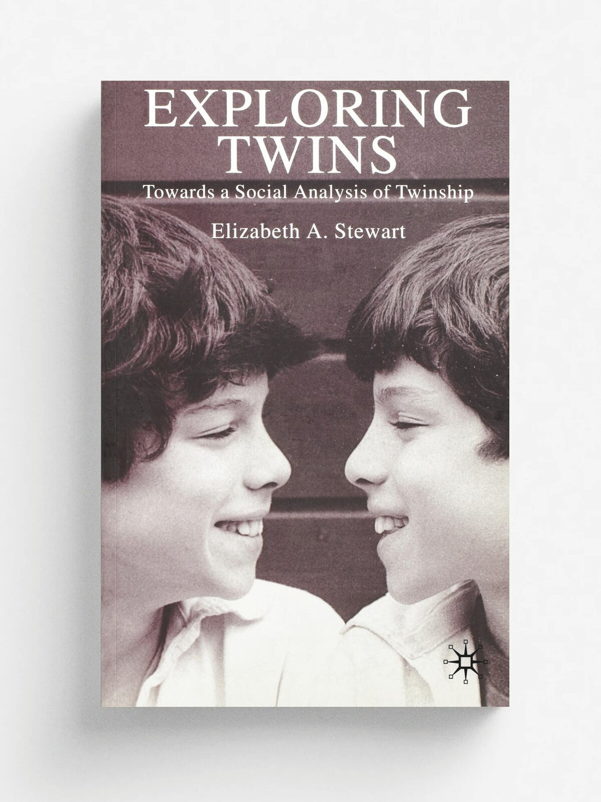 Exploring Twins. Towards a Social Analysis of Twinship