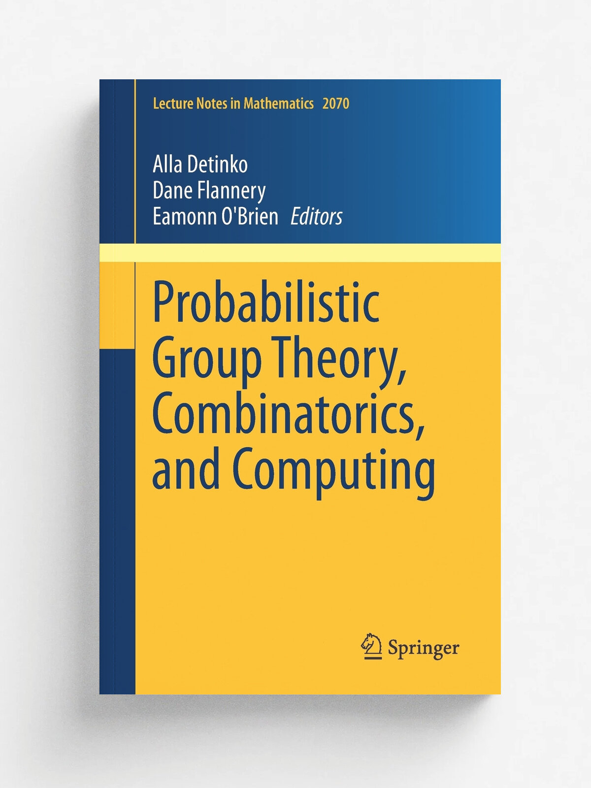 Probabilistic Group Theory, Combinatorics, and Computing. Lectures from the Fifth de Br.n Workshop