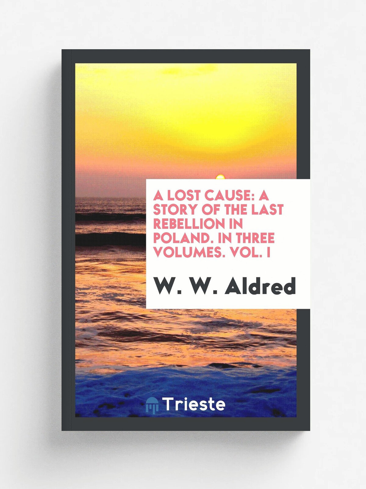 A lost cause. a story of the last rebellion in Poland