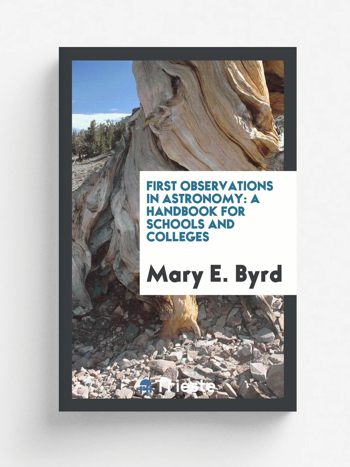 First Observations in Astronomy. A Handbook for Schools and Colleges