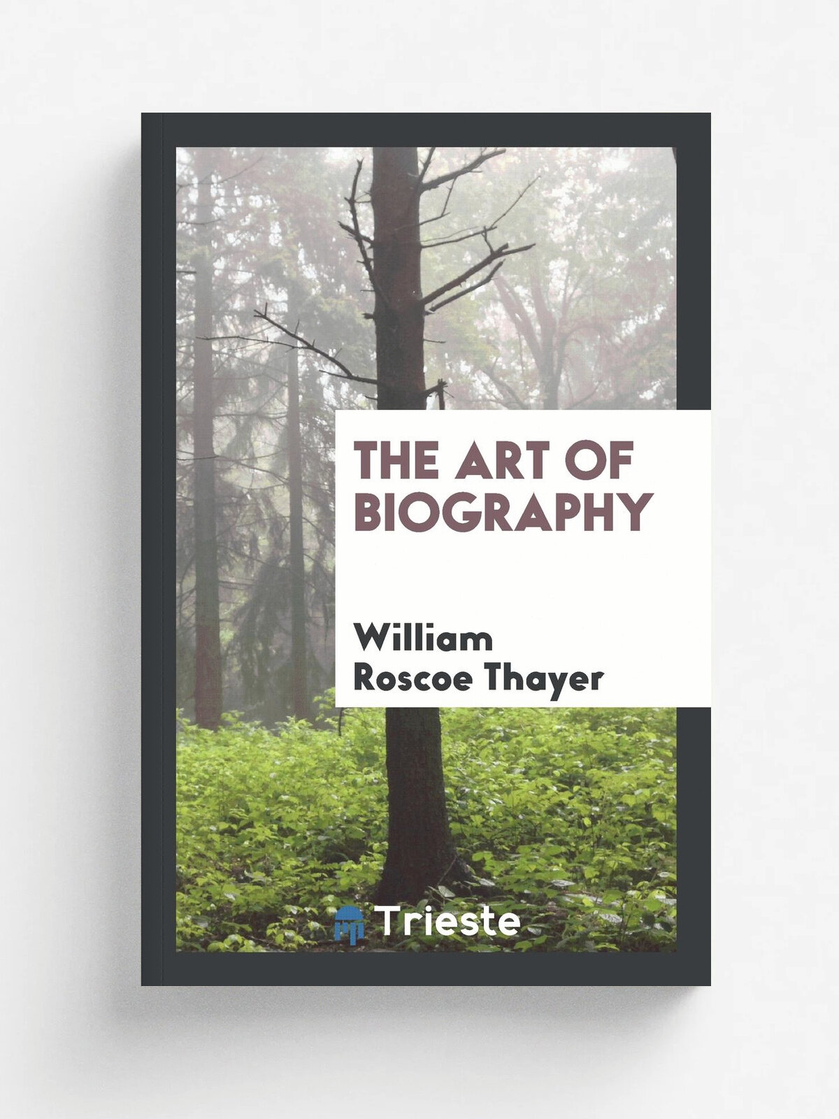 The Art of Biography