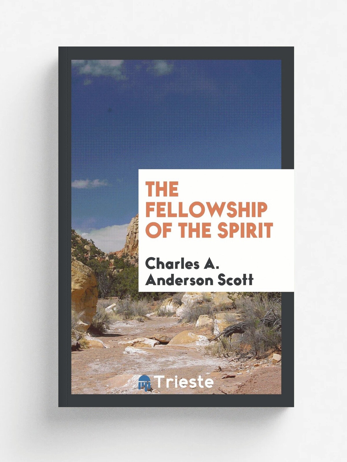 The fellowship of the spirit