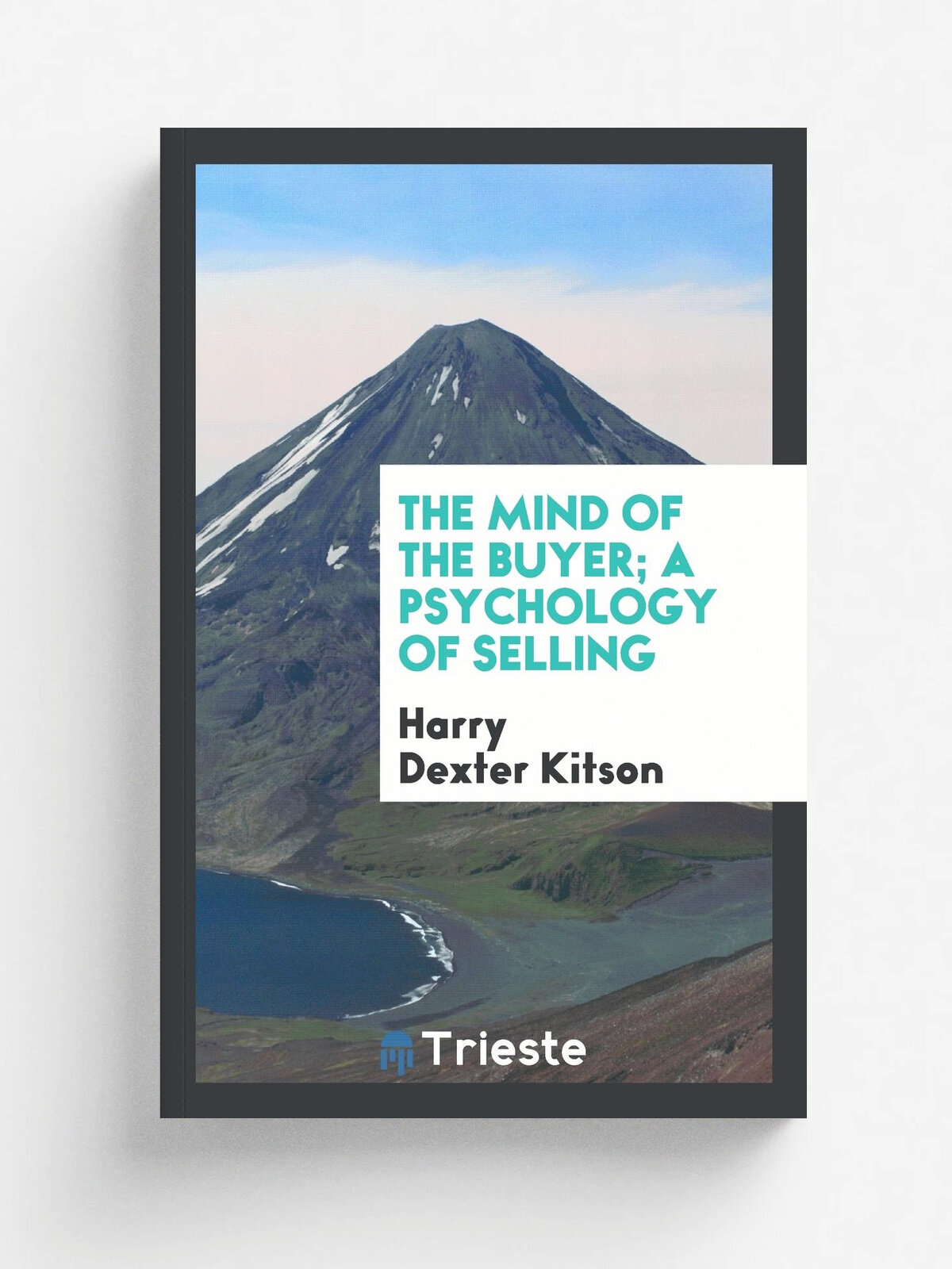 The mind of the buyer; a psychology of selling