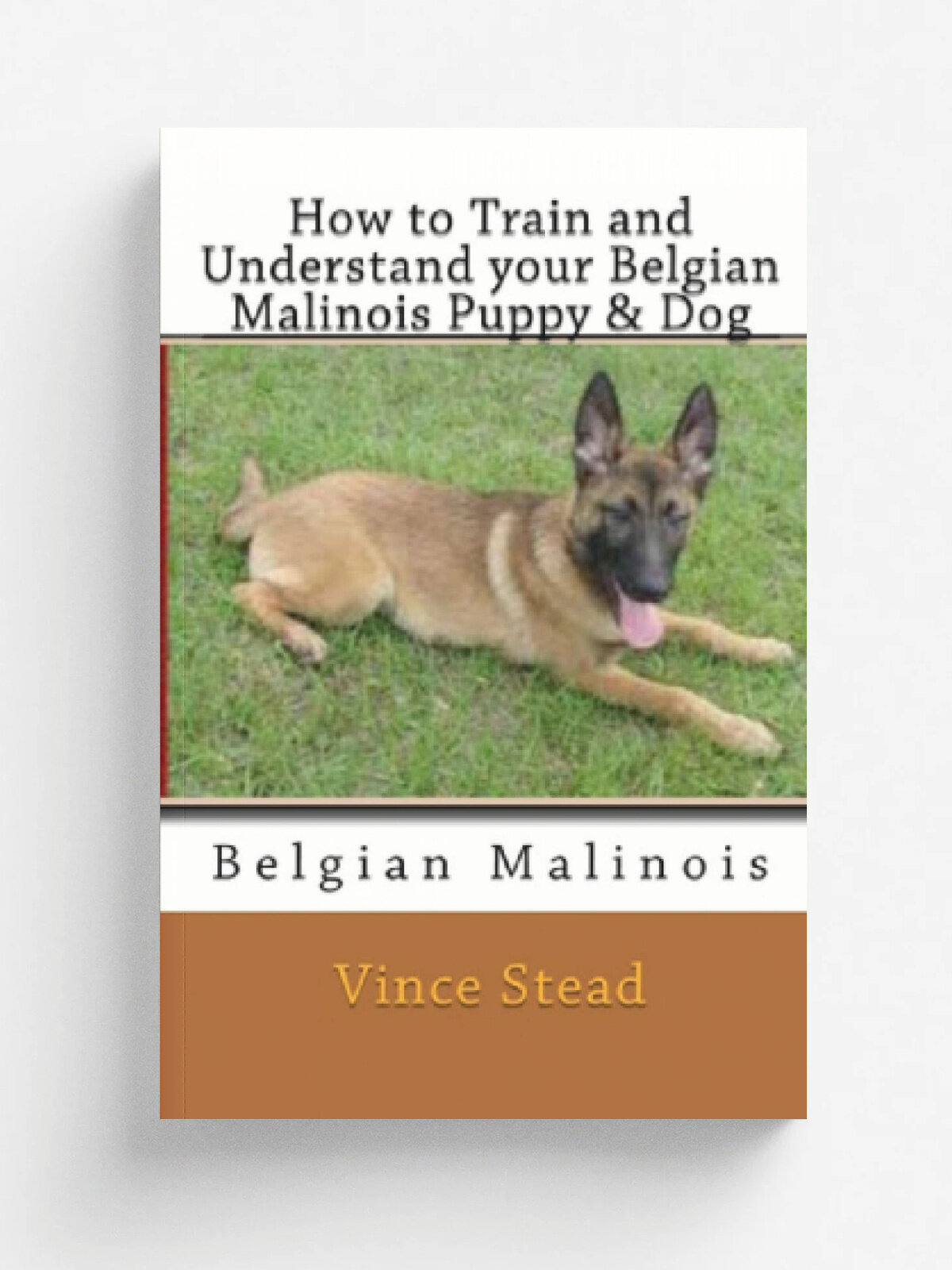 How to Train and Understand Your Belgian Malinois Puppy & Dog