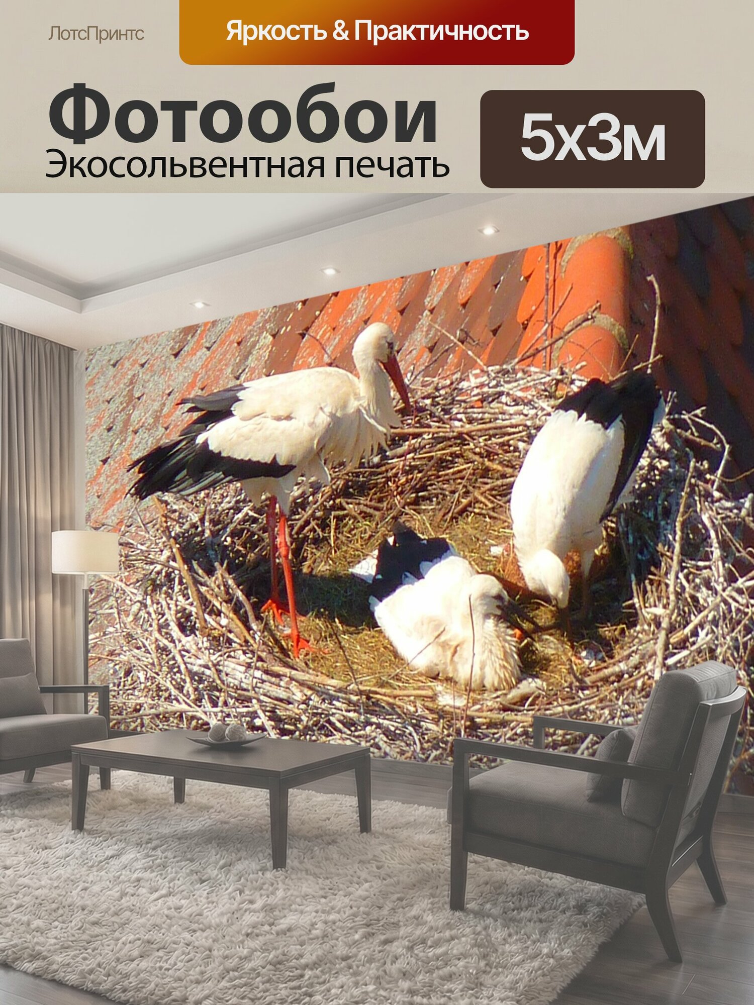 Фотообои "Аист, аисты, птицы" 500x300 см. экосольвентная печать