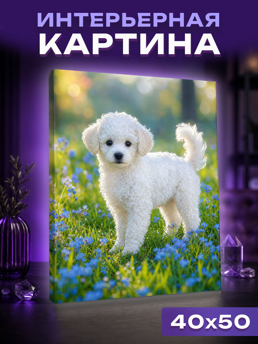 Интерьерная картина Щенок пуделя среди незабудок