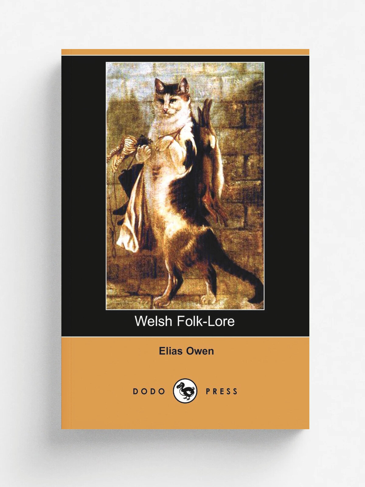 Welsh Folk-Lore (Dodo Press)