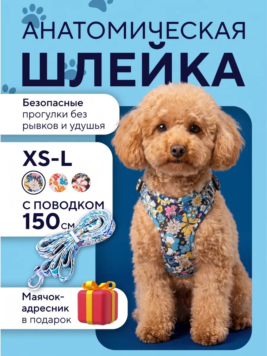 Шлейка для собак, с поводком, для средних и мелких пород, анатомическая, светоотражающая (синяя)