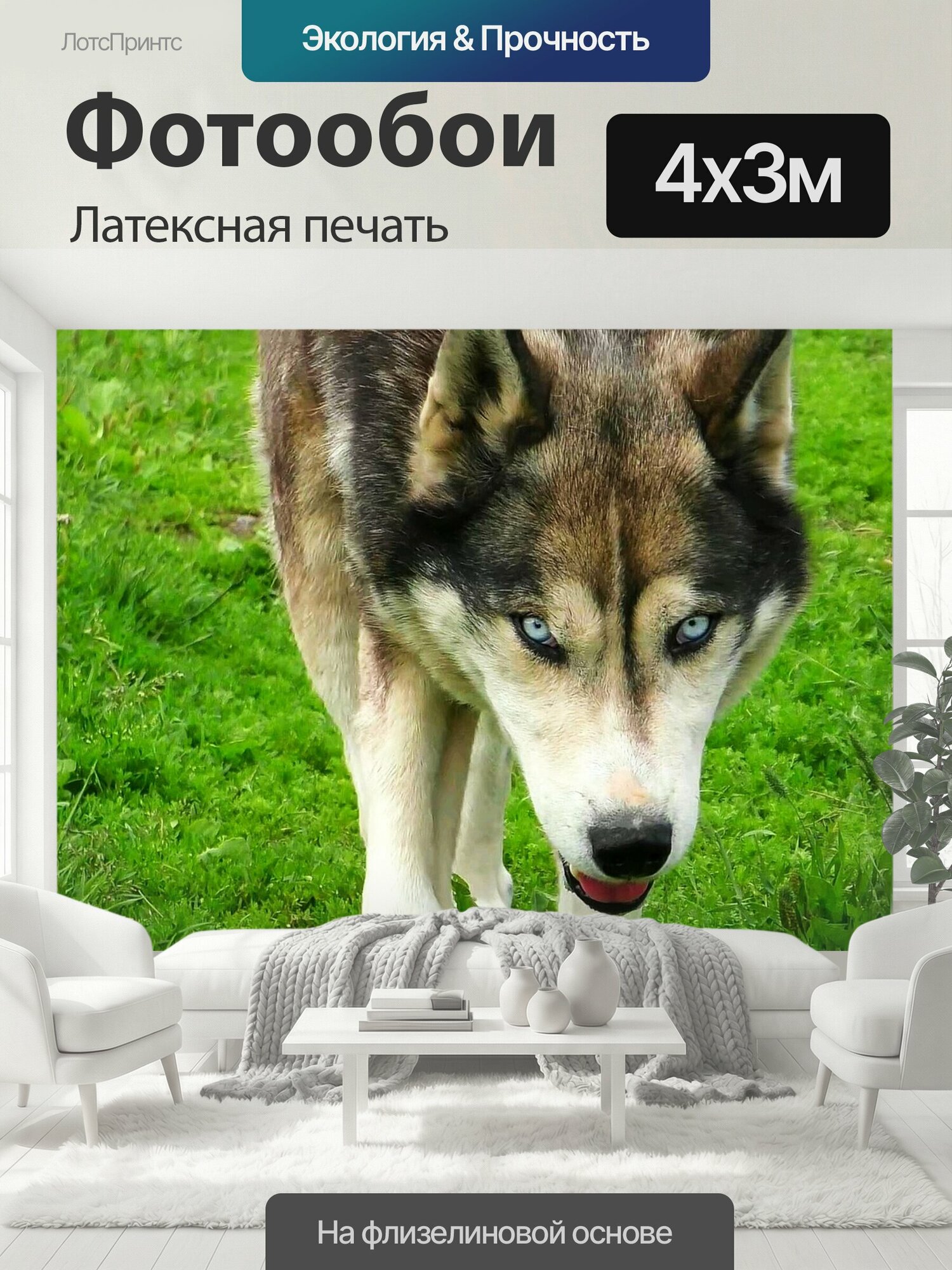 Фотообои моющиеся ударопрочные "Хаски, волк, собака" 400x300 см. латексная печать