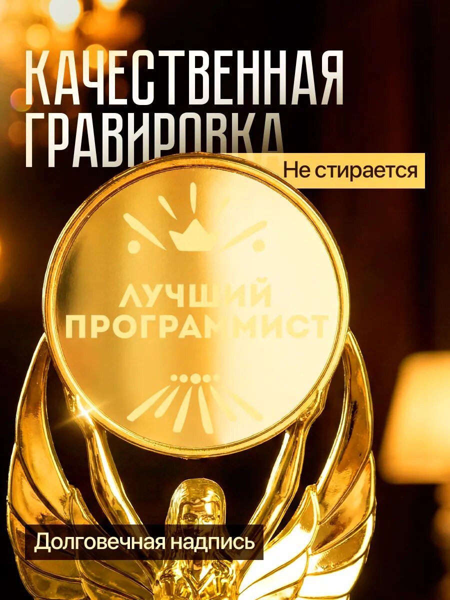 Подарок статуэтка для награждения Программист — фото 1