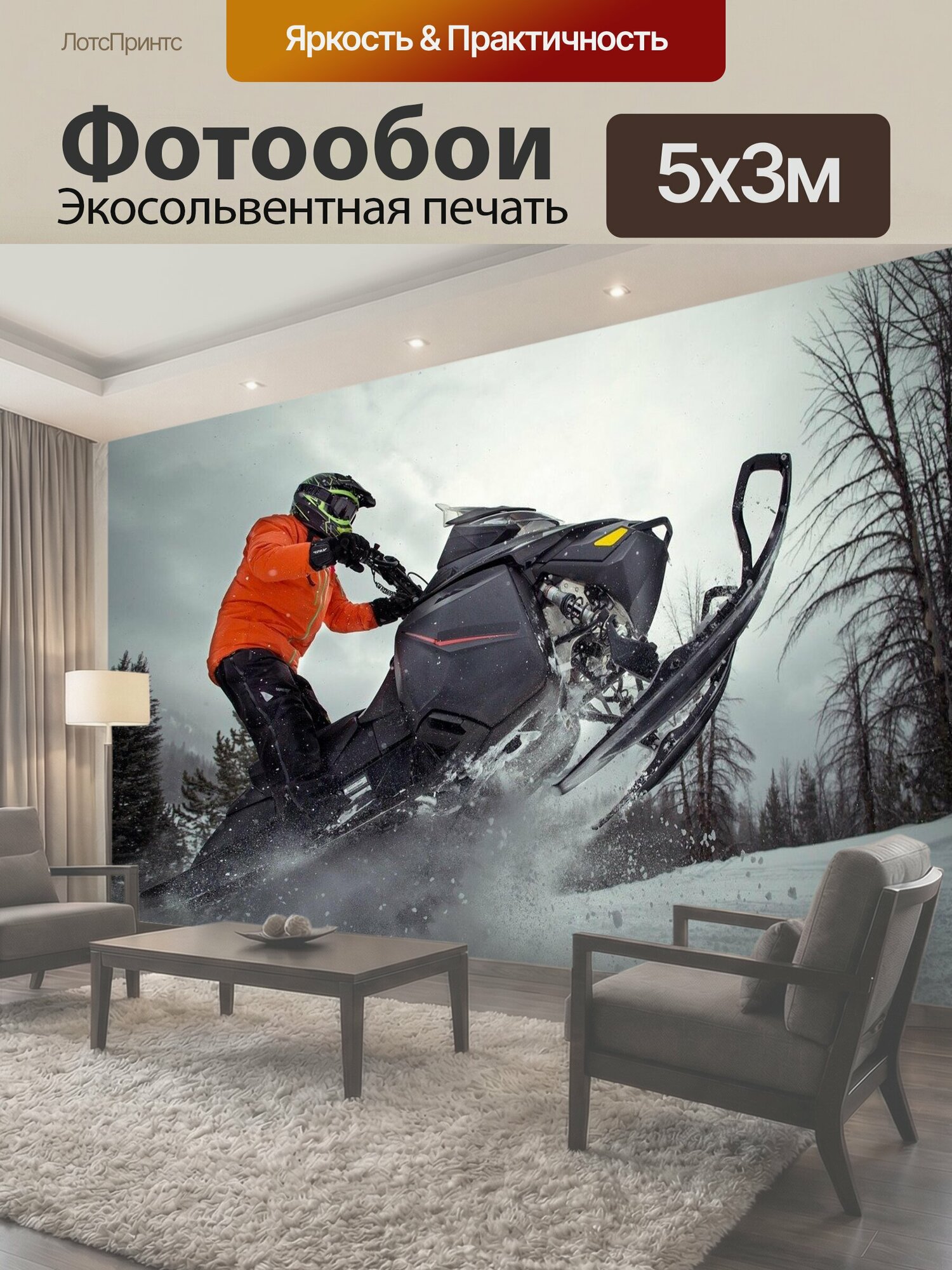 Фотообои "Снегоход, прокат снегоходов колорадо, однодневные поездки из денвера" 500x300 см. экосольвентная печать