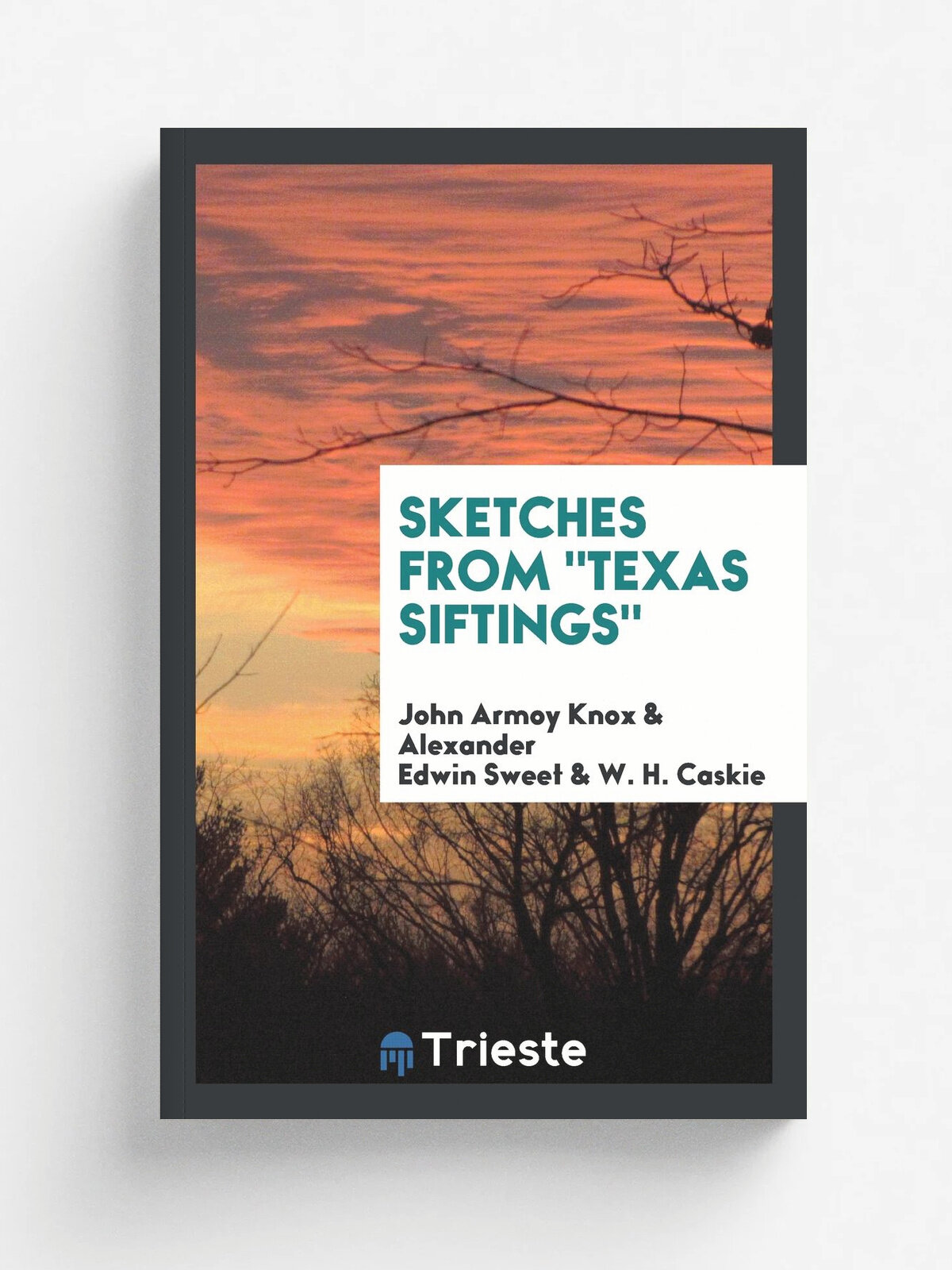 Sketches from "Texas Siftings".