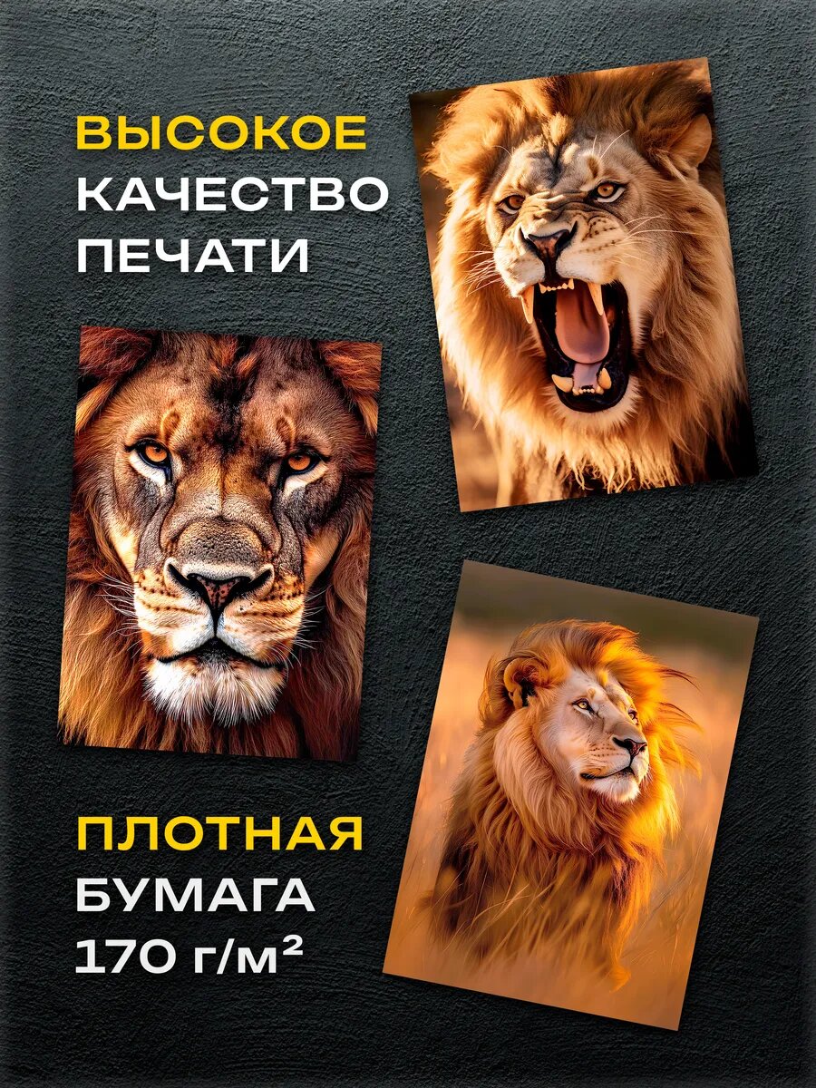 Постеры на стену Лев — фото 1