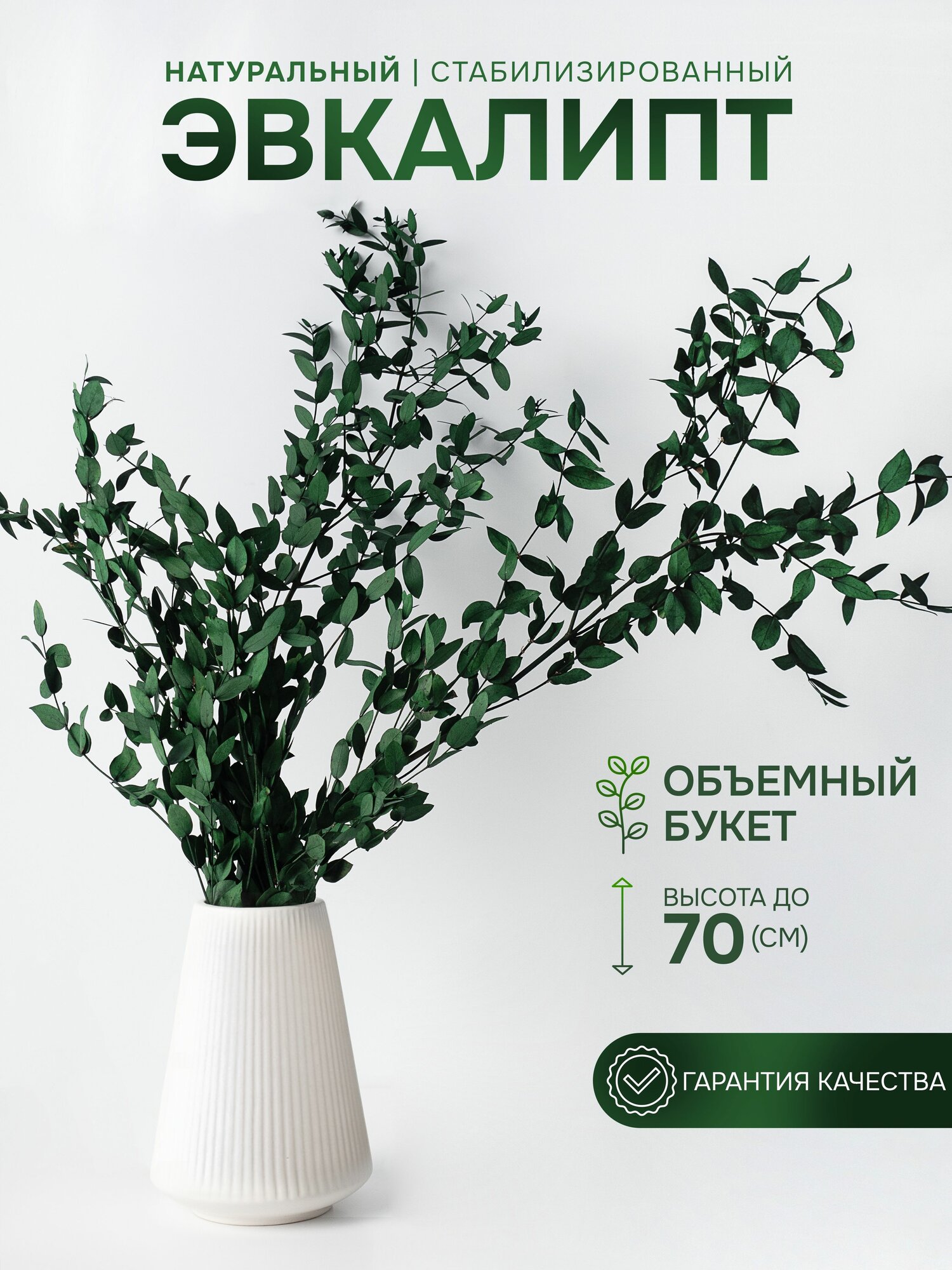 Сухоцветы для декора Эвкалипт стабилизированный