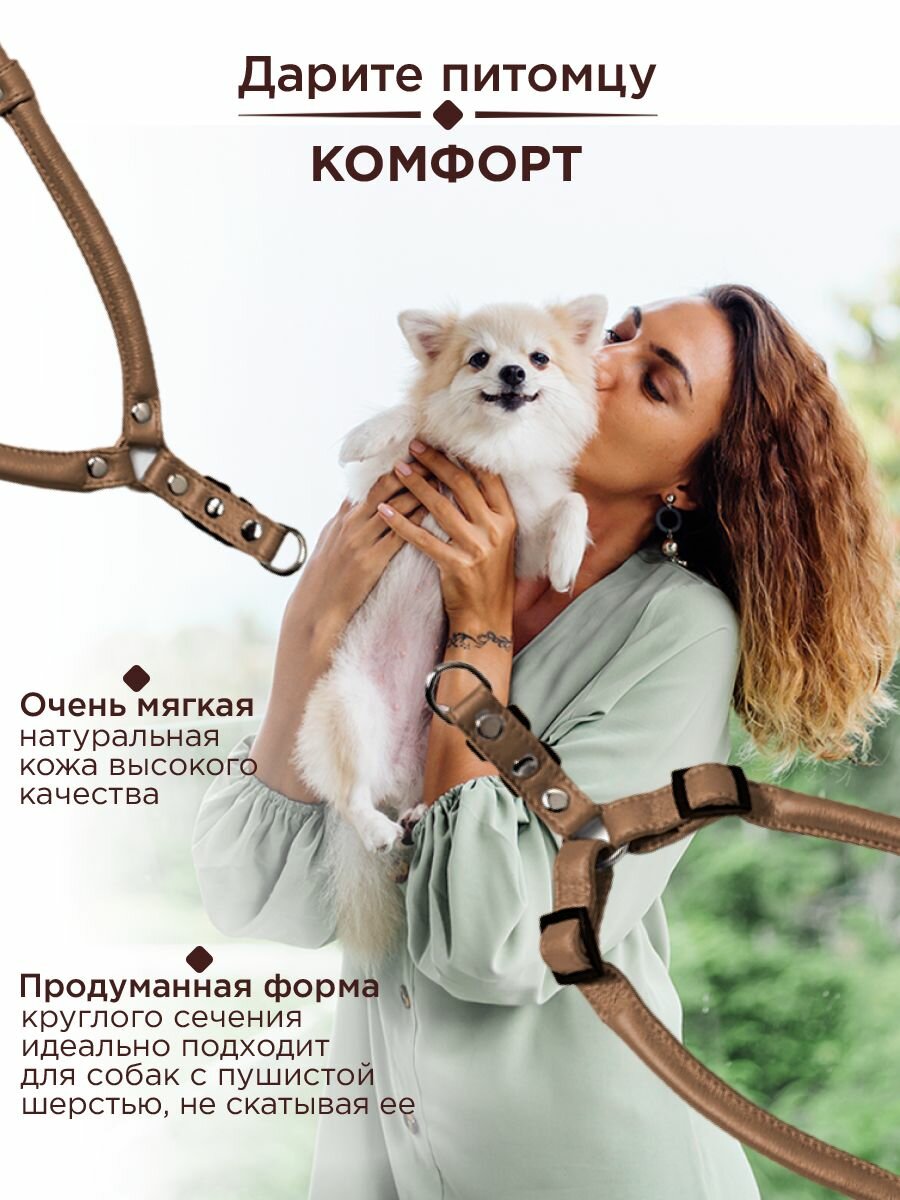 Шлейка — фото 1