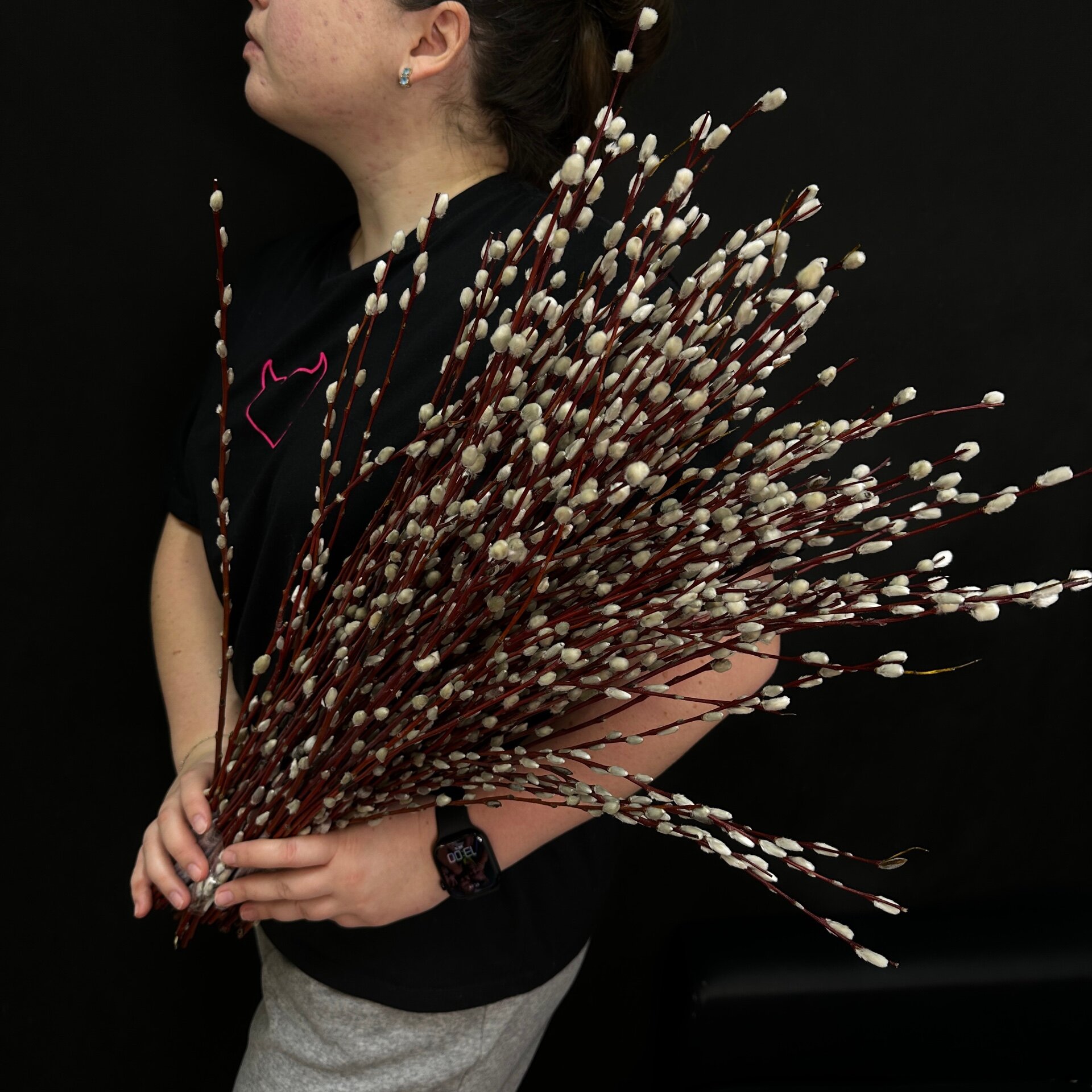 Верба натуральная / Пучок / Монобукет из живой вербы 100-120 штук