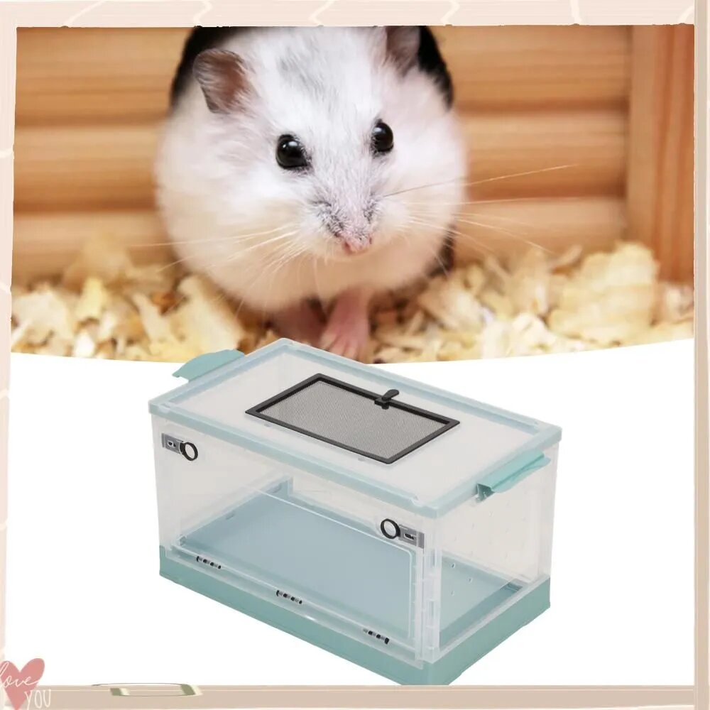 Прозрачный аквариум для хомяка