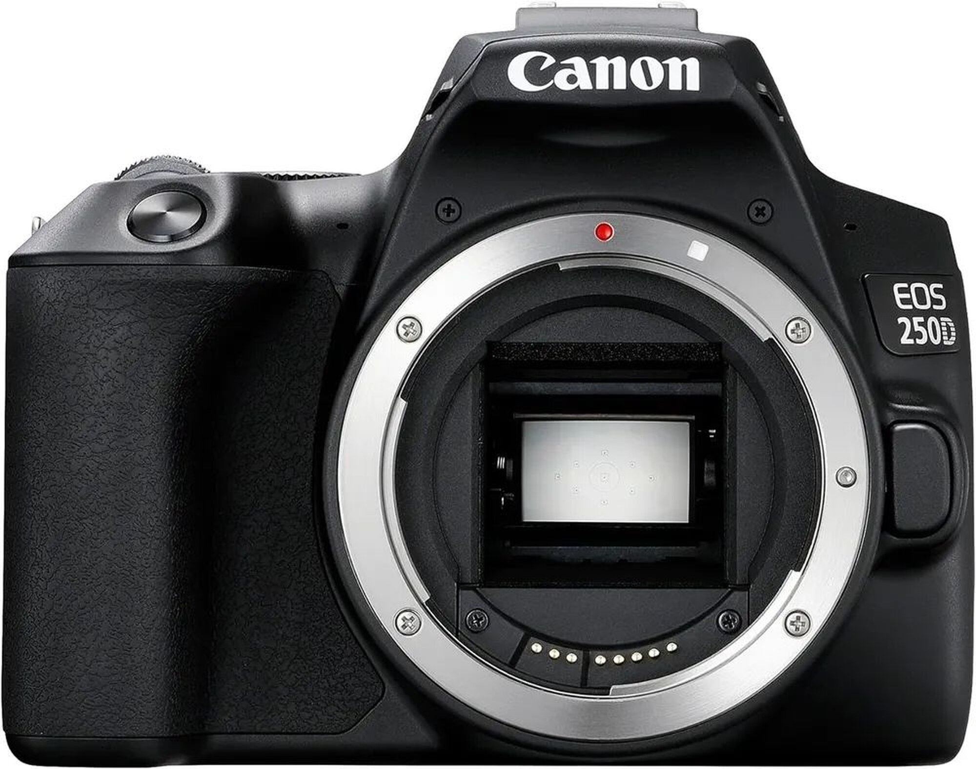 Фотоаппарат Canon EOS 250D, матрица 24,1 Мп, экран 3", 4K видео, 5 кадров/с