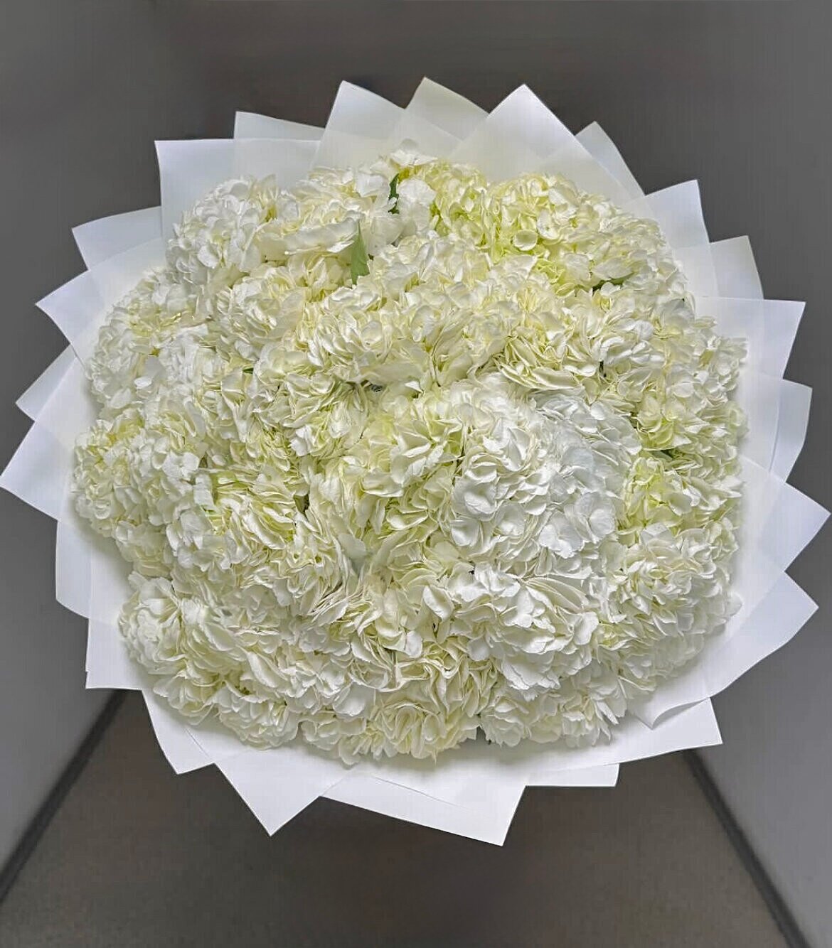 Большой букет гортензий «Колумбия», белые, 51 шт. в упаковке, с доставкой