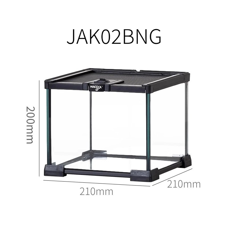 Маленький стеклянный террариум для молодых лягушек и насекомых, размеры 21x21x20 см